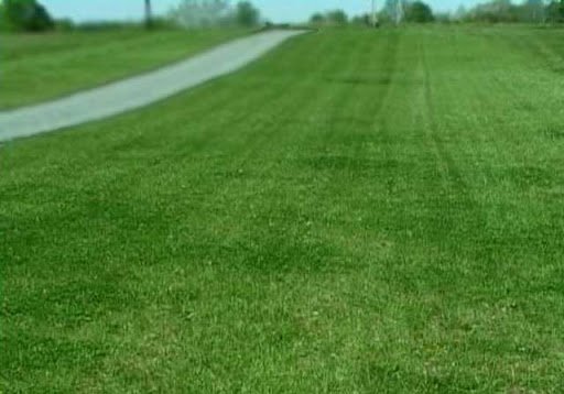 Contractors mix grass seed store